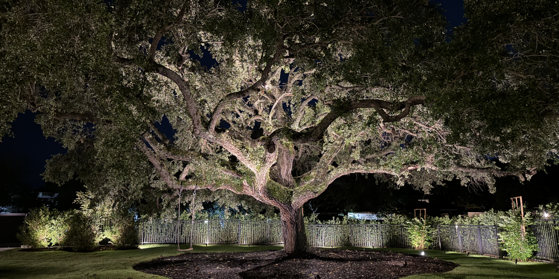 Brand-new landscape backyard lighting system in Pinecrest, Florida ...